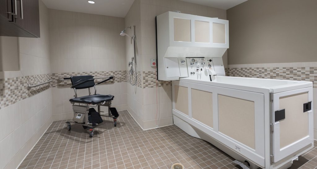 What’s the Difference Between a Gray Shell and White Box in the ...